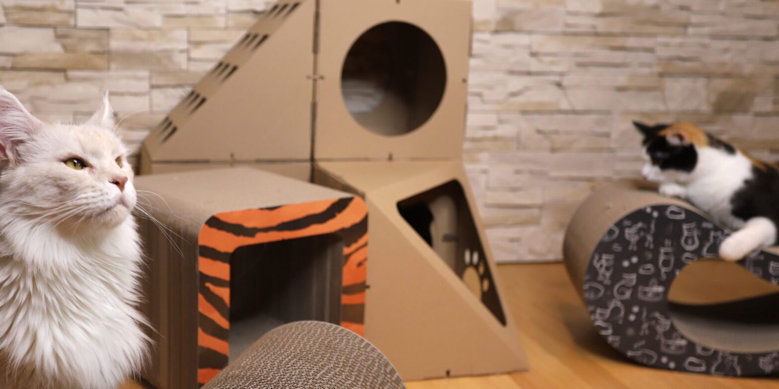 MODULAR CAT HOUSES - 4mypaws